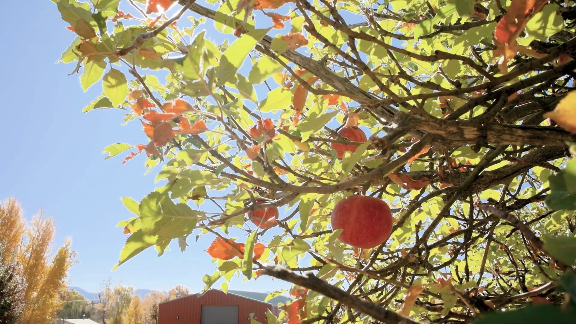 A Lending Library Lends a Hand to Cortez Growers | LOR Foundation